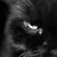 Иконка канала WT VOLKOT