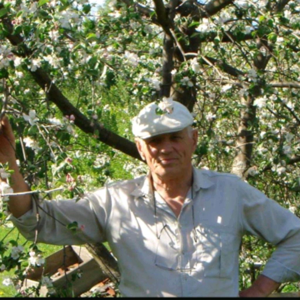 Иконка канала Вячеслав Гаврилов