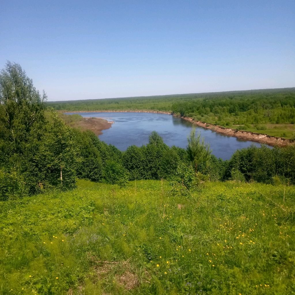 Иконка канала Iv Yu