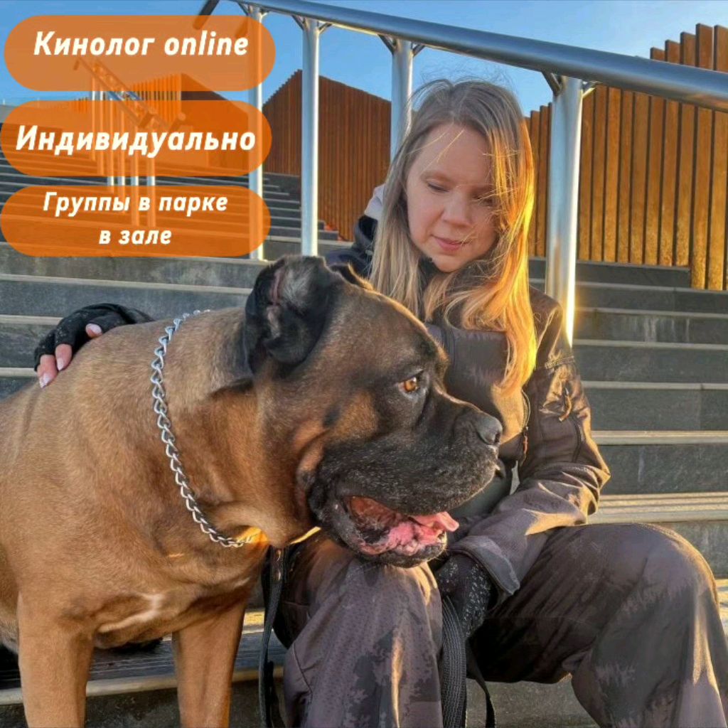 Иконка канала Психология Хвостатых @kinolog_tenilova