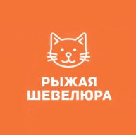 Иконка канала Рыжая Шевелюра