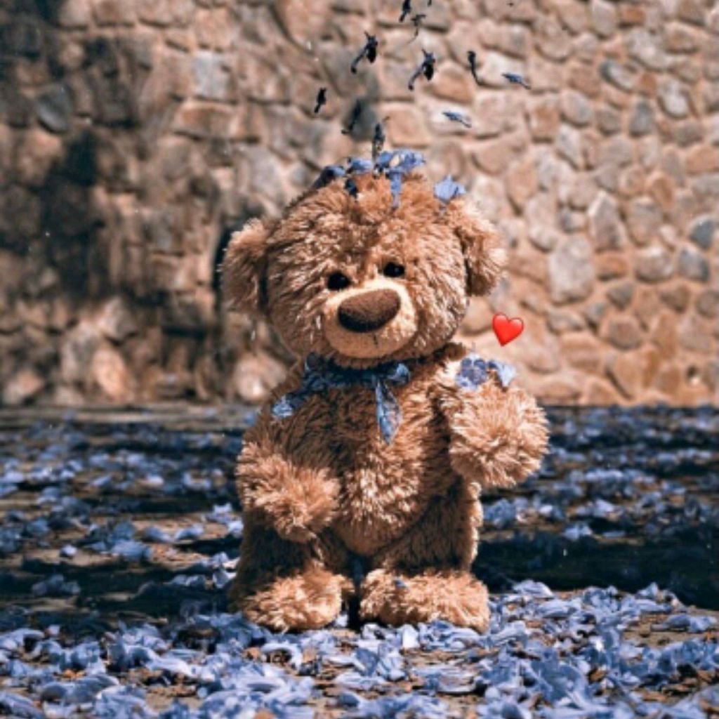 Kamoliddin на RUTUBE: 2 видео – смотреть онлайн и бесплатно (25420785)