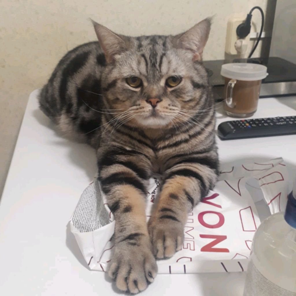 Иконка канала kozan