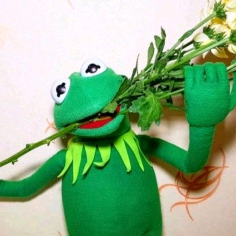 Иконка канала Лягушонок Кермит 🐸