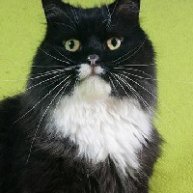 Иконка канала wluds