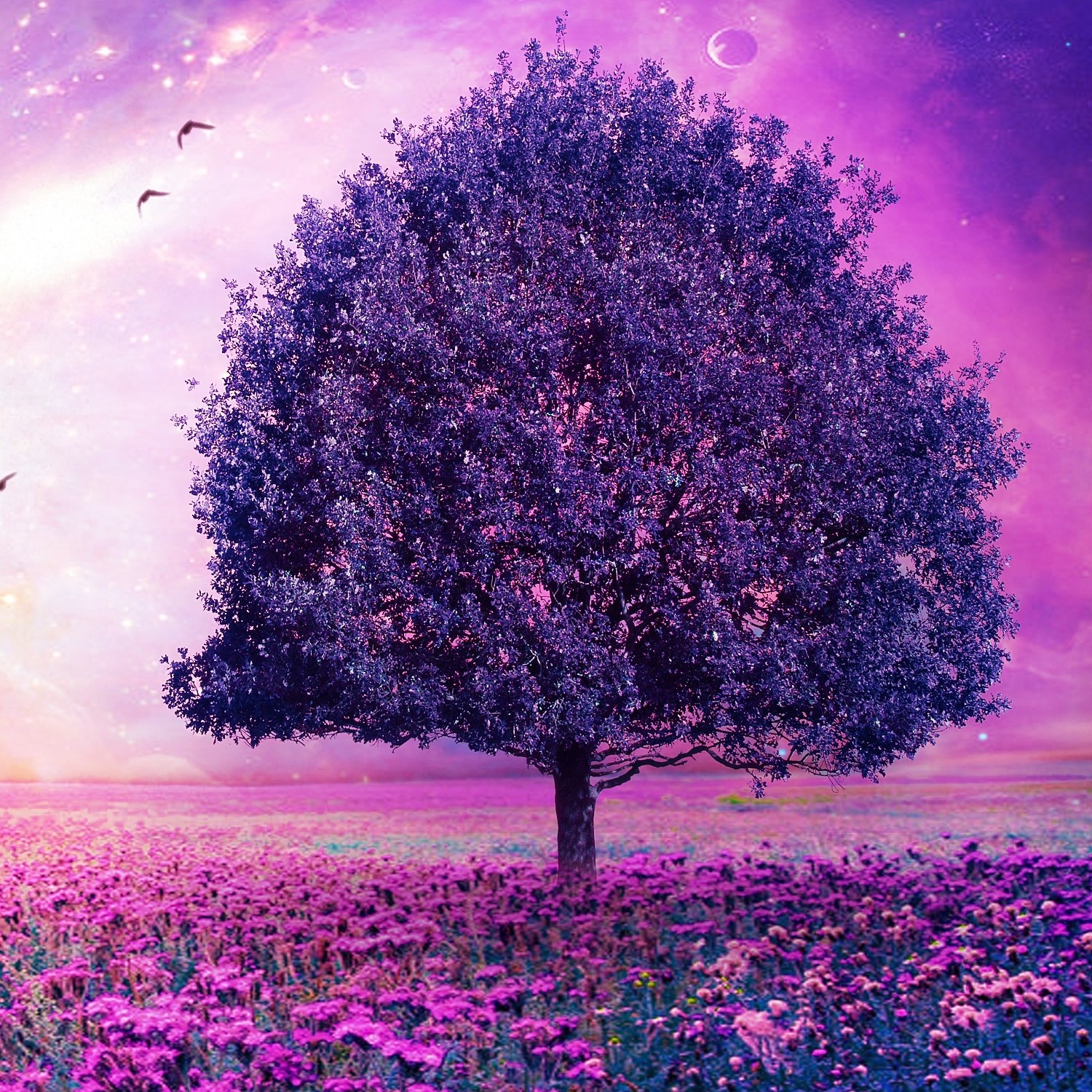 Иконка канала Энергия Пробуждения