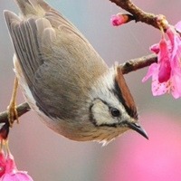 Иконка канала Ольга Елдина
