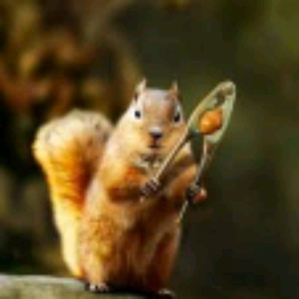 fuflik на RUTUBE: 5 видео – смотреть онлайн и бесплатно (25771236)