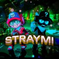 Иконка канала Straymi
