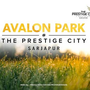 Иконка канала Prestige Avalon Park