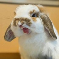 Иконка канала YouTube Hard Play Перезаливы