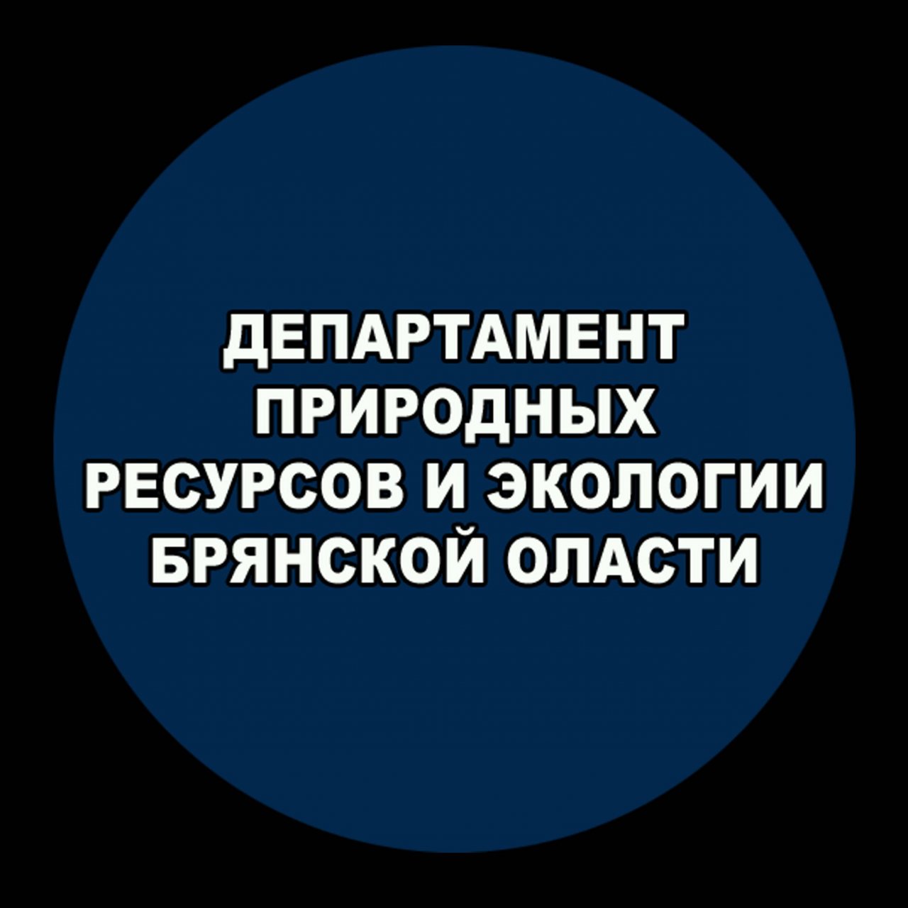 Иконка канала ДПРиЭ Брянской области