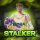 Иконка канала STALKER
