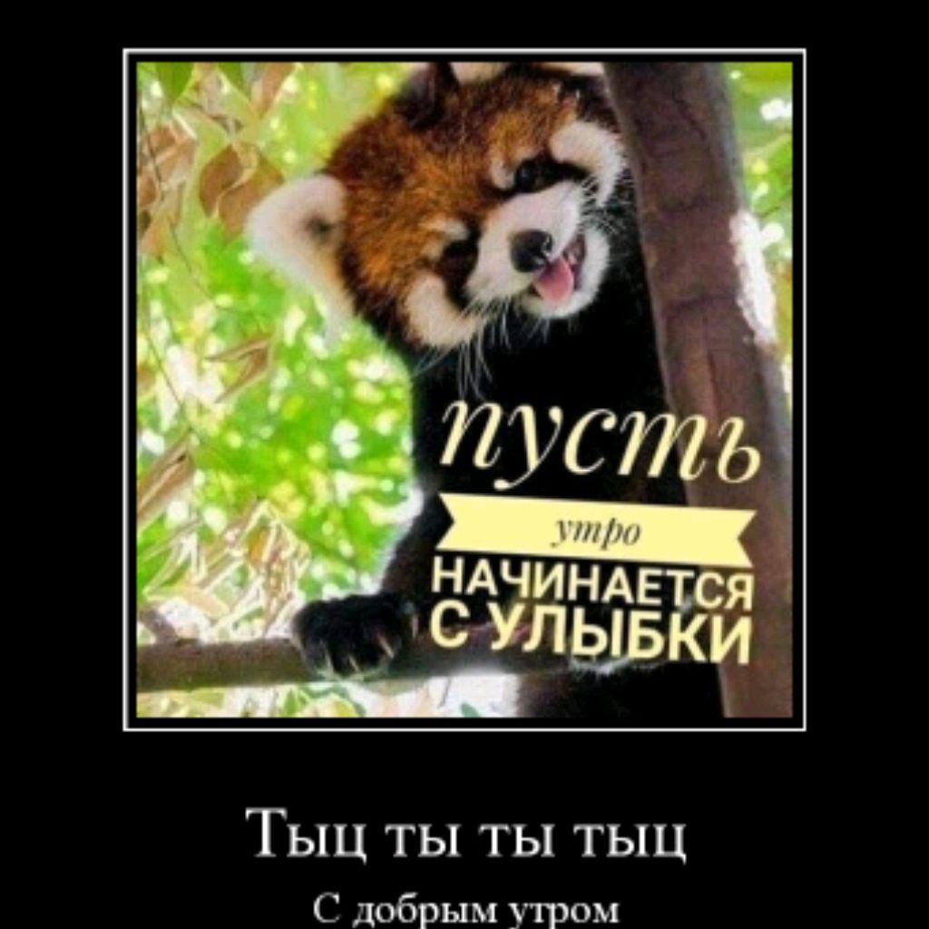 Иконка канала Карпат