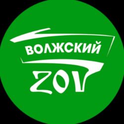 Иконка канала ZOV Волжский