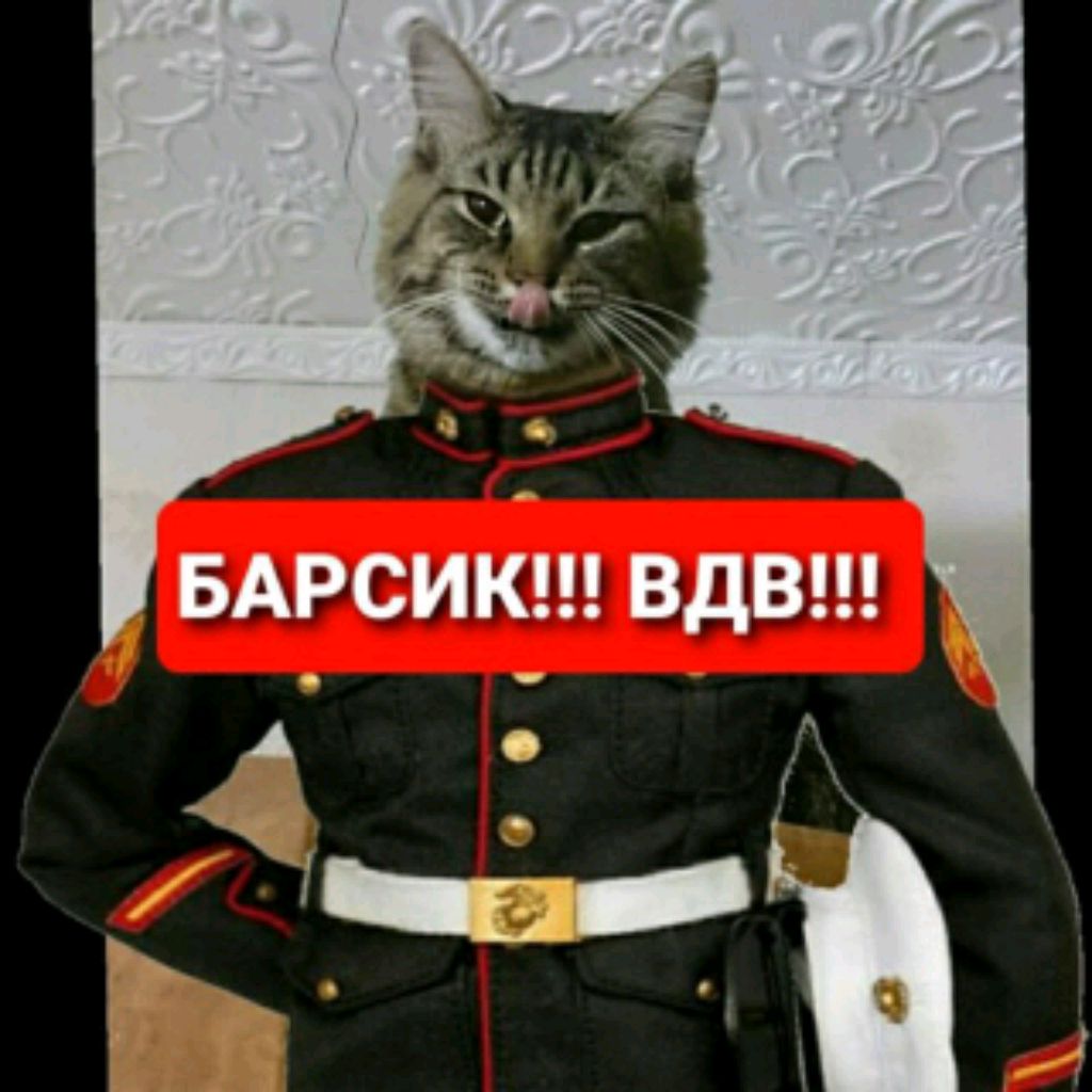 Иконка канала БАРСИК!!!ВДВ!!!