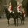 Иконка канала Barbriya Dressage