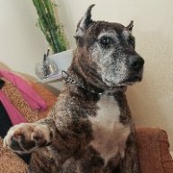 Иконка канала Vladimir Mayorov