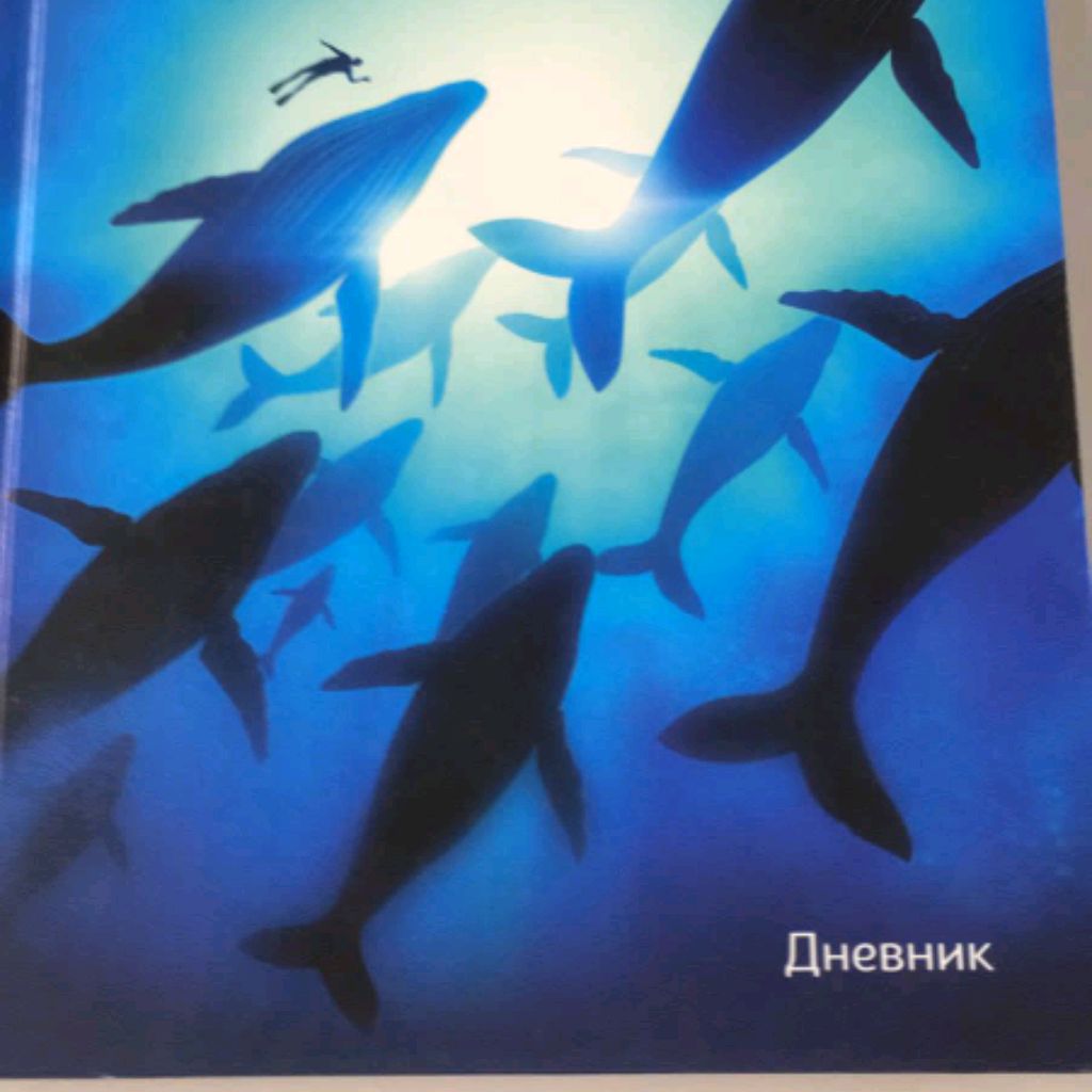 GREEN_TEA на RUTUBE: 1 видео – смотреть онлайн и бесплатно (32664338)
