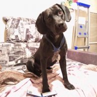 Иконка канала Leo Ridge