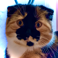 Иконка канала ТутМнеТепло