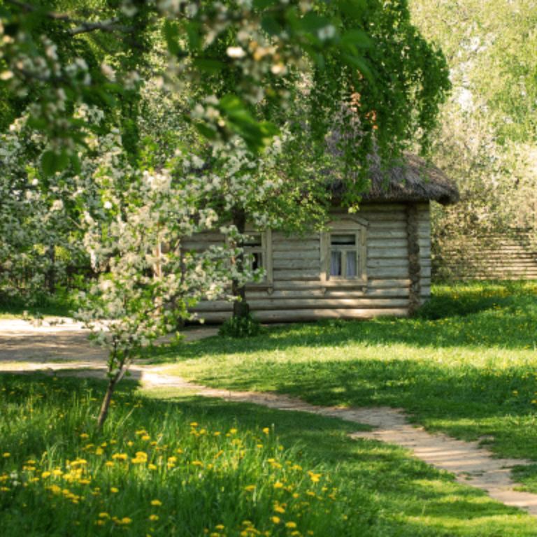 Иконка канала Selo_rodnoe