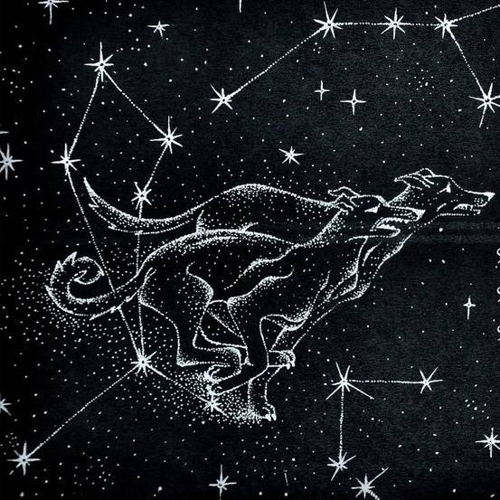 Иконка канала Co3BE3guE_Co6aK