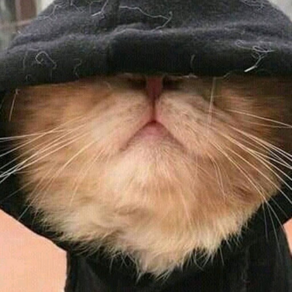 Иконка канала Динамитрий 3000