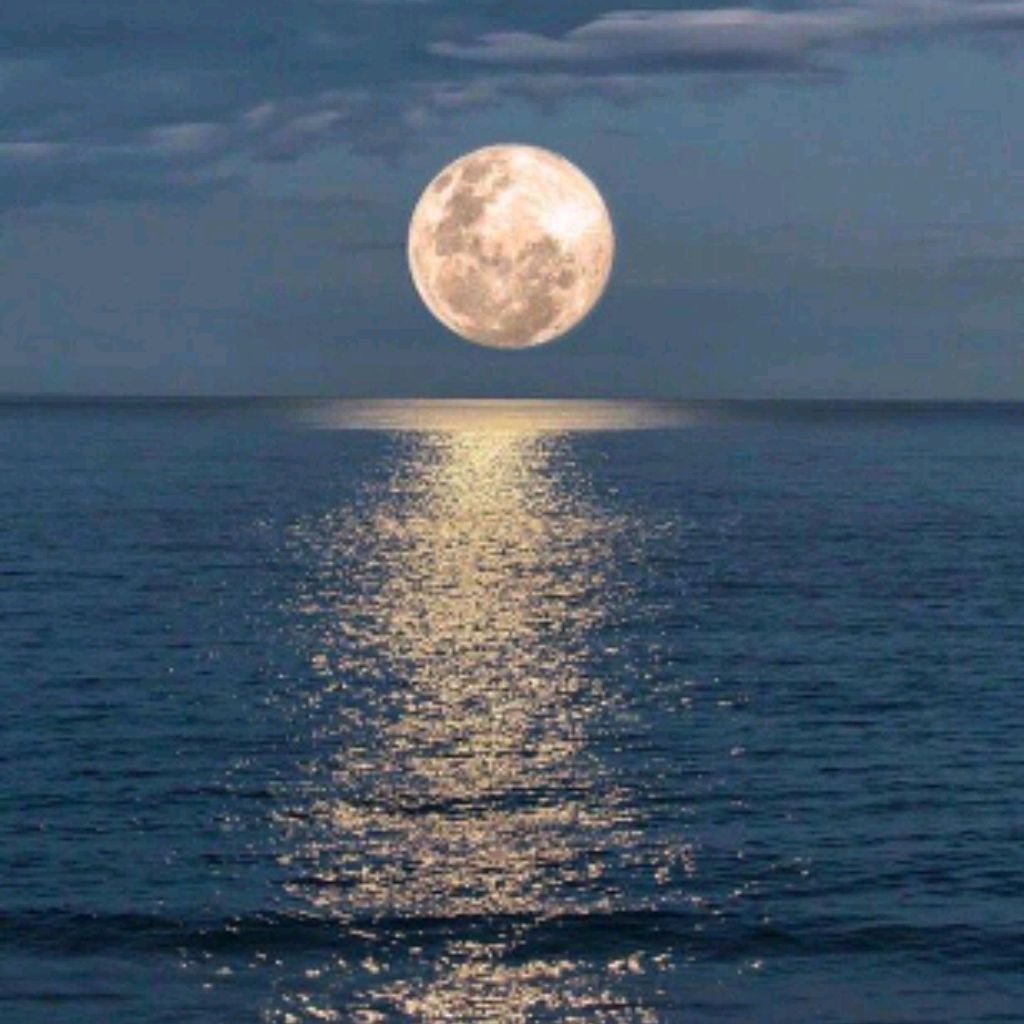 Иконка канала Priroda?