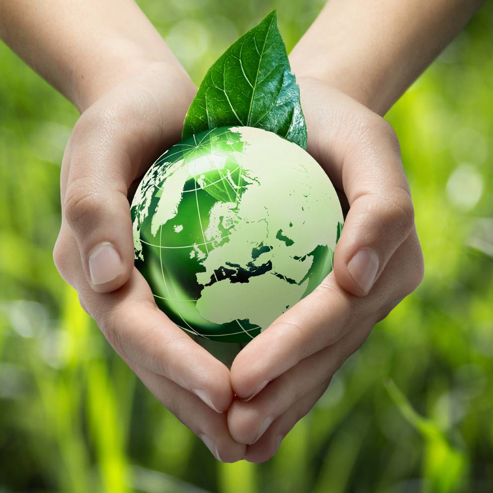 Иконка канала Ecolifeworld
