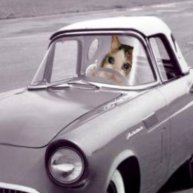 Иконка канала Den Denovski