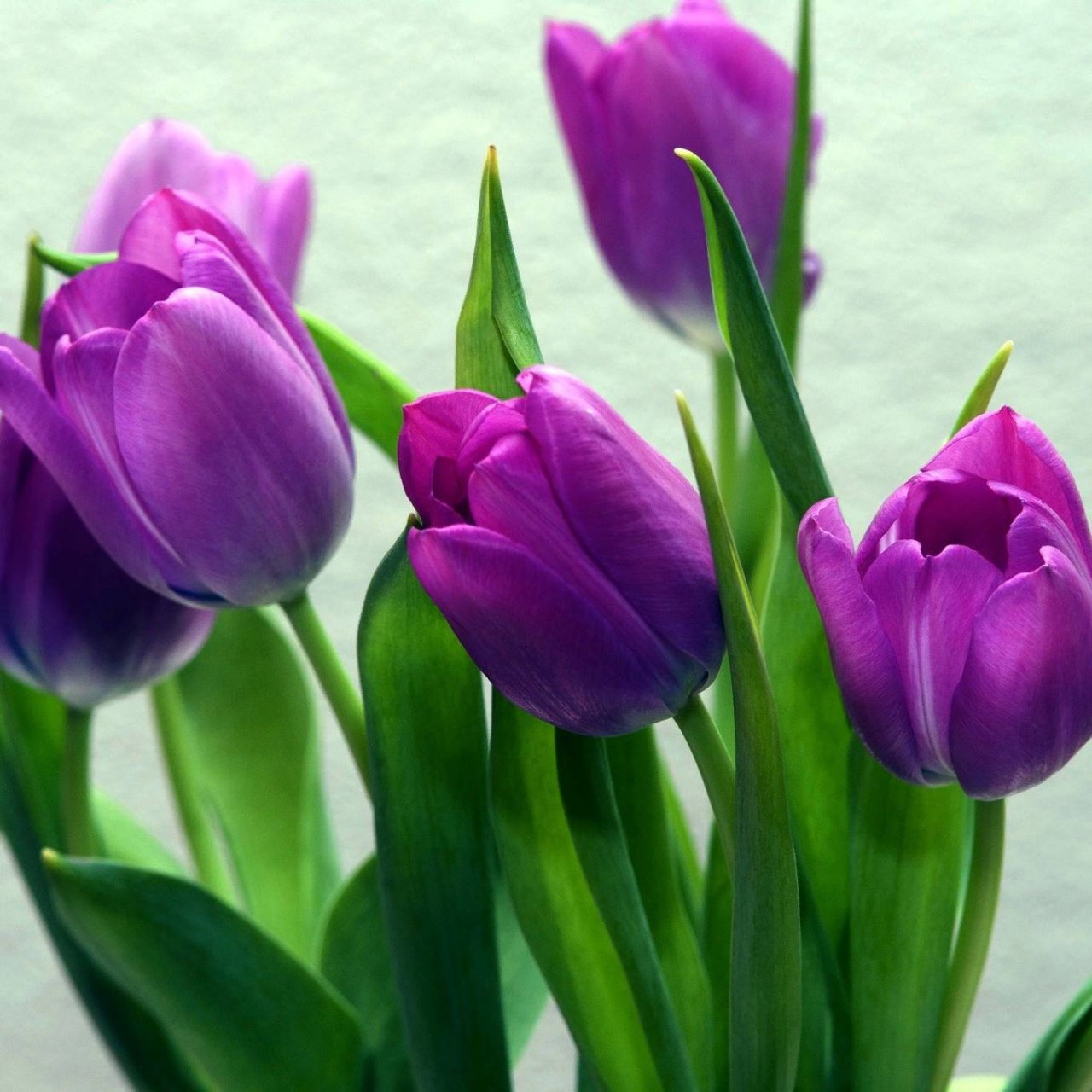 Иконка канала Домашние дела Ираида Кришталенко