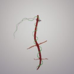 Иконка канала просто пашка