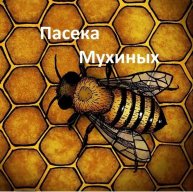 Иконка канала Пасека Мухиных