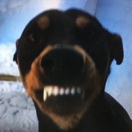 Иконка канала olkaz12