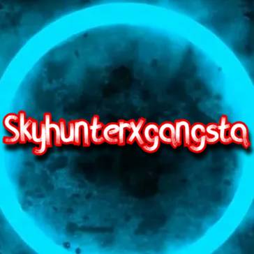 Иконка канала skyhunter