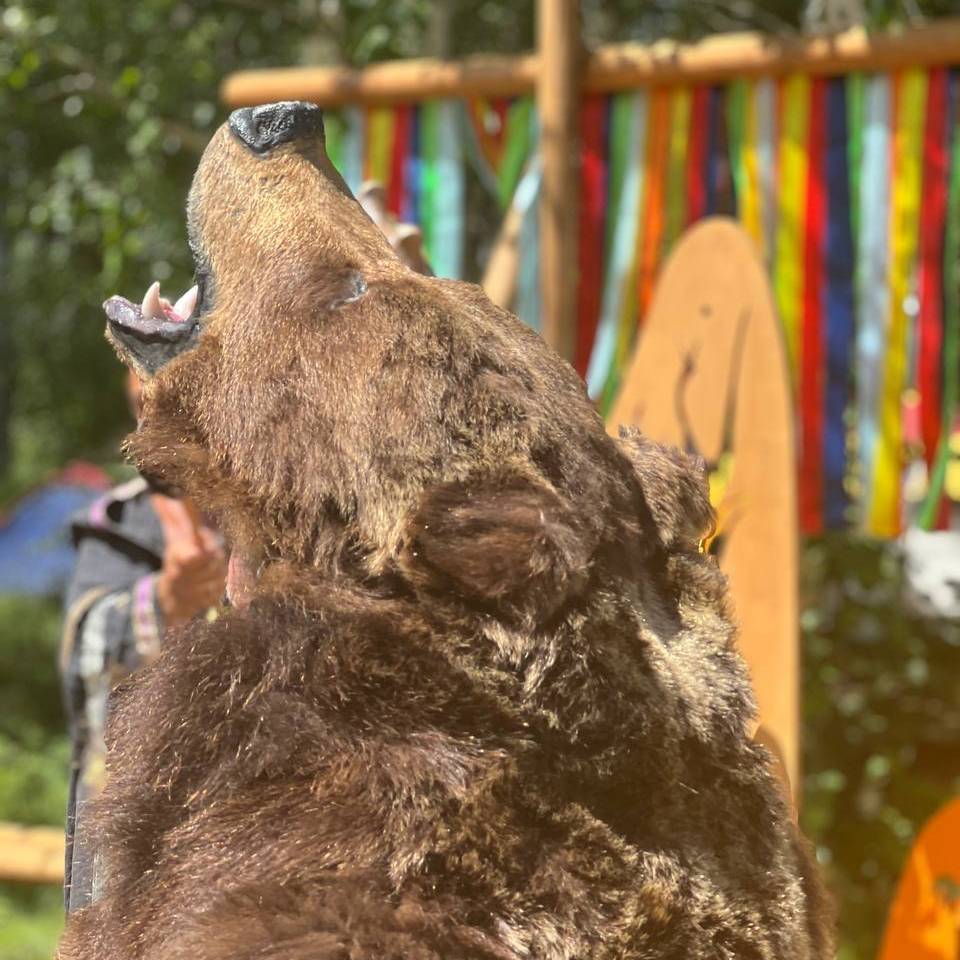 Иконка канала Сибирский маг-шаман Алексей Борисов