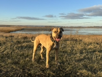 Иконка канала Zeus_4k