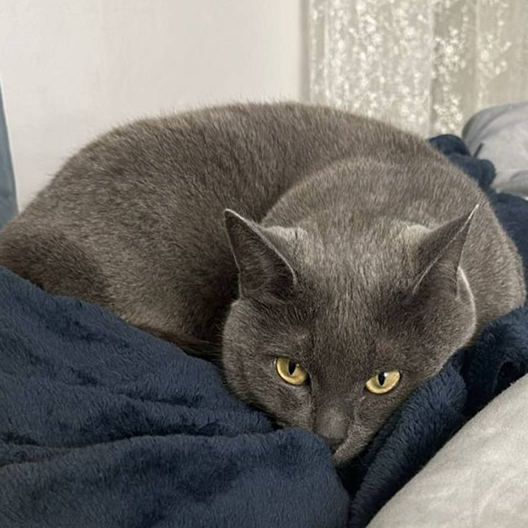 Иконка канала Garrettoll_rutube