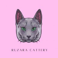 Иконка канала ruzaracattery