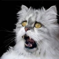 Иконка канала WARfrag