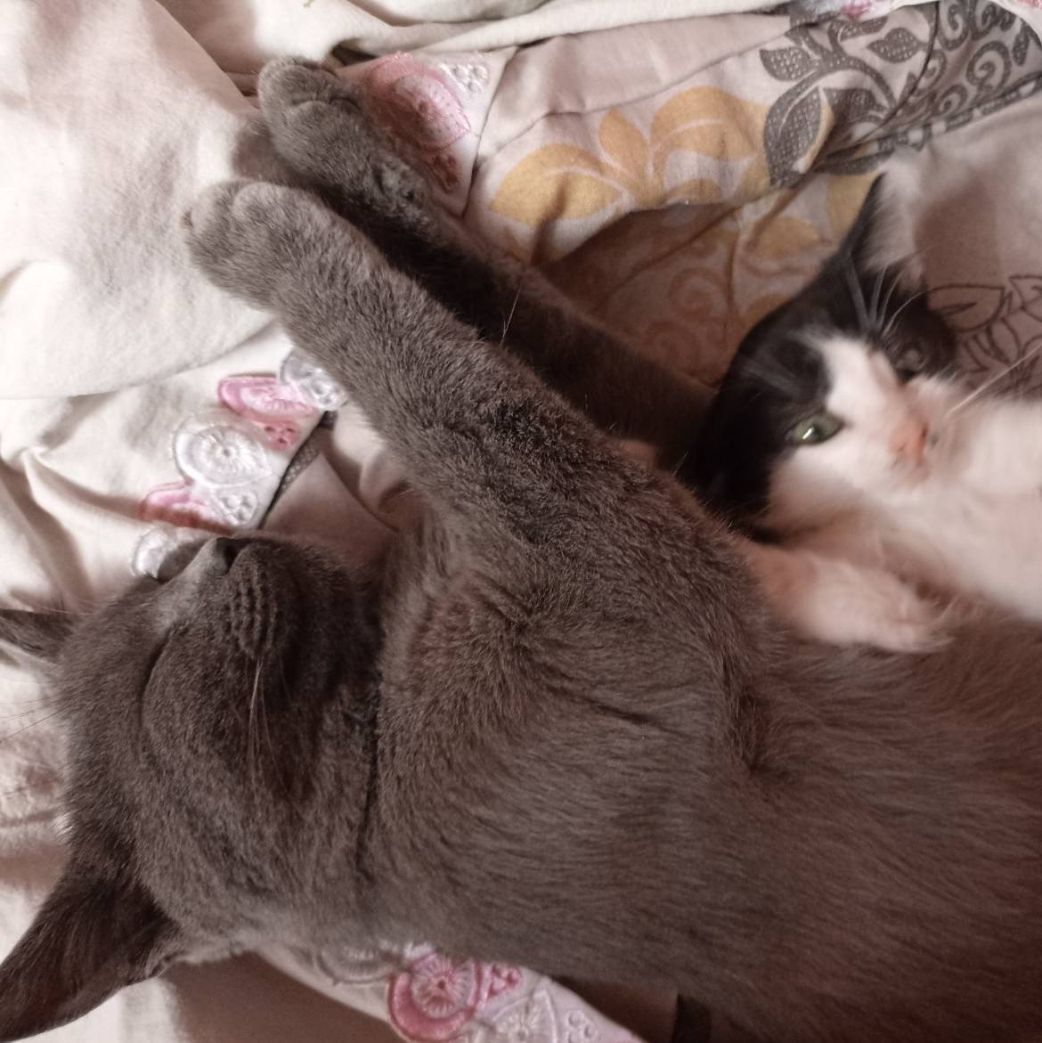 Иконка канала channel27057090