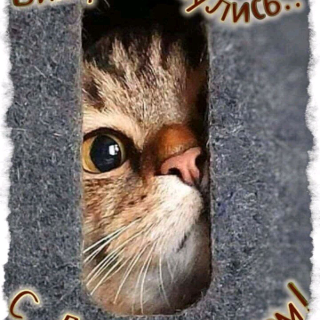 Иконка канала Мария кошка