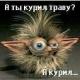 Иконка канала sava_71