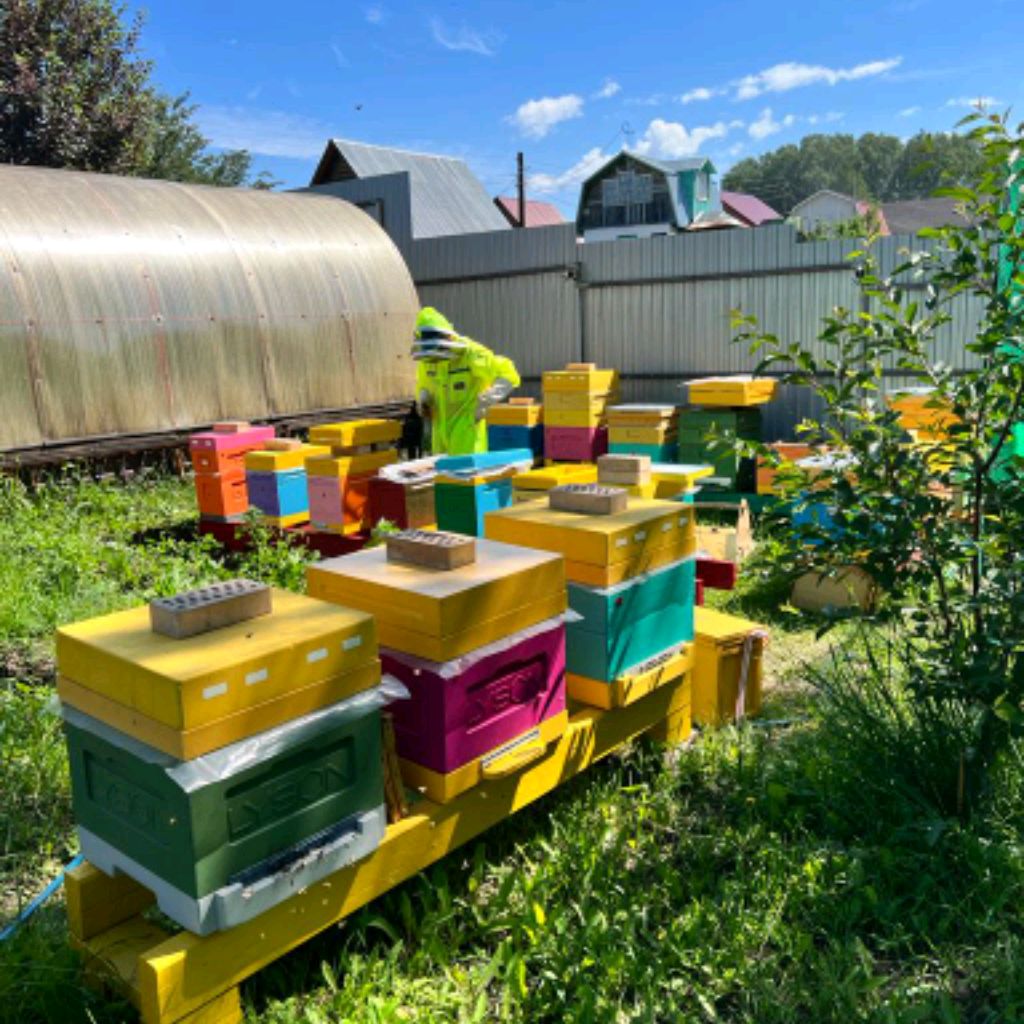 Иконка канала Proпчеловодство🐝