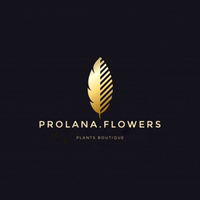 Иконка канала ProLana.Flowers