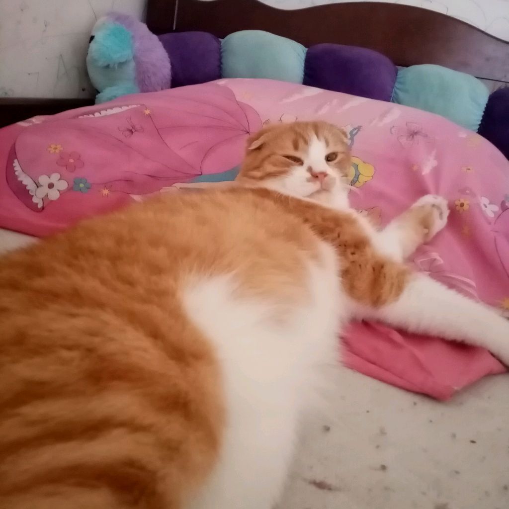 Канал Alenk@😜 смотри онлайн на RUTUBE!