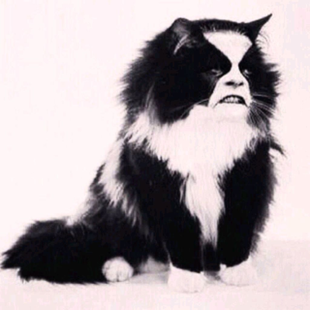 Иконка канала Мак Сим