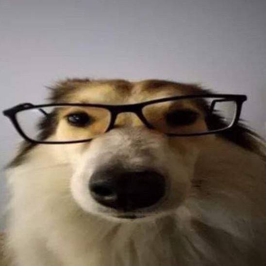 Иконка канала Добрич