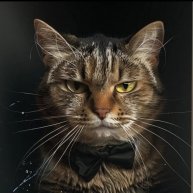 Иконка канала ЗвероКот